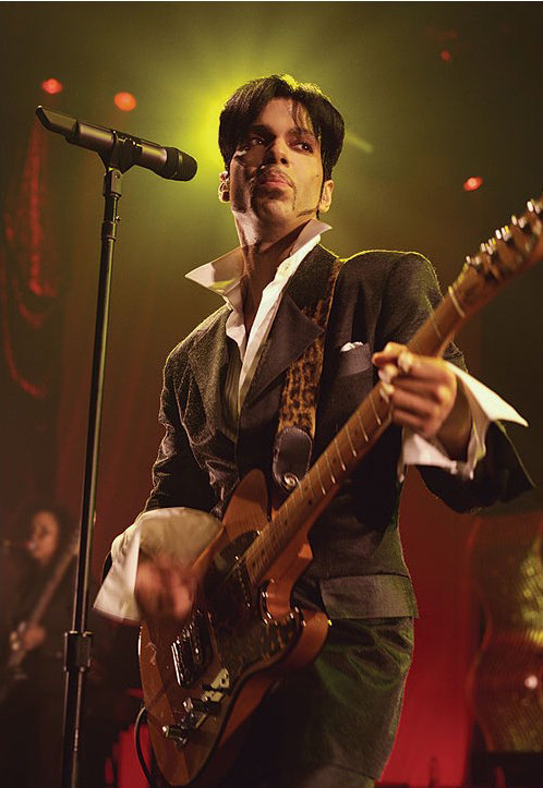 Prince - Live Down The Years - A Fan Remembers